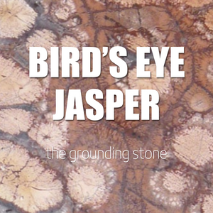 Bird's Eye Jasper | Magickal Bear